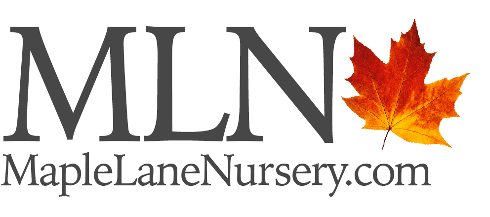 Weekly Availability - Wholesale 4/15/2023