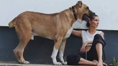 (errata corrige) Newsletter di IN DOG WE TRUST