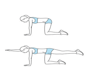 In-Home Exercises for a Stronger Back! | Align Your Spine Chiropractic